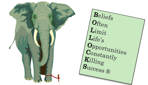 Why B.O.L.L.O.C.K.S. and what does it mean? – Mel Pledger